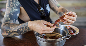 Fawlty Farm - Includes 3 Free Adventures - Lodge for Rent in Taylor Bay ...