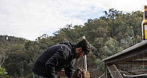 Fawlty Farm - Includes 3 Free Adventures - Lodge for Rent in Taylor Bay ...