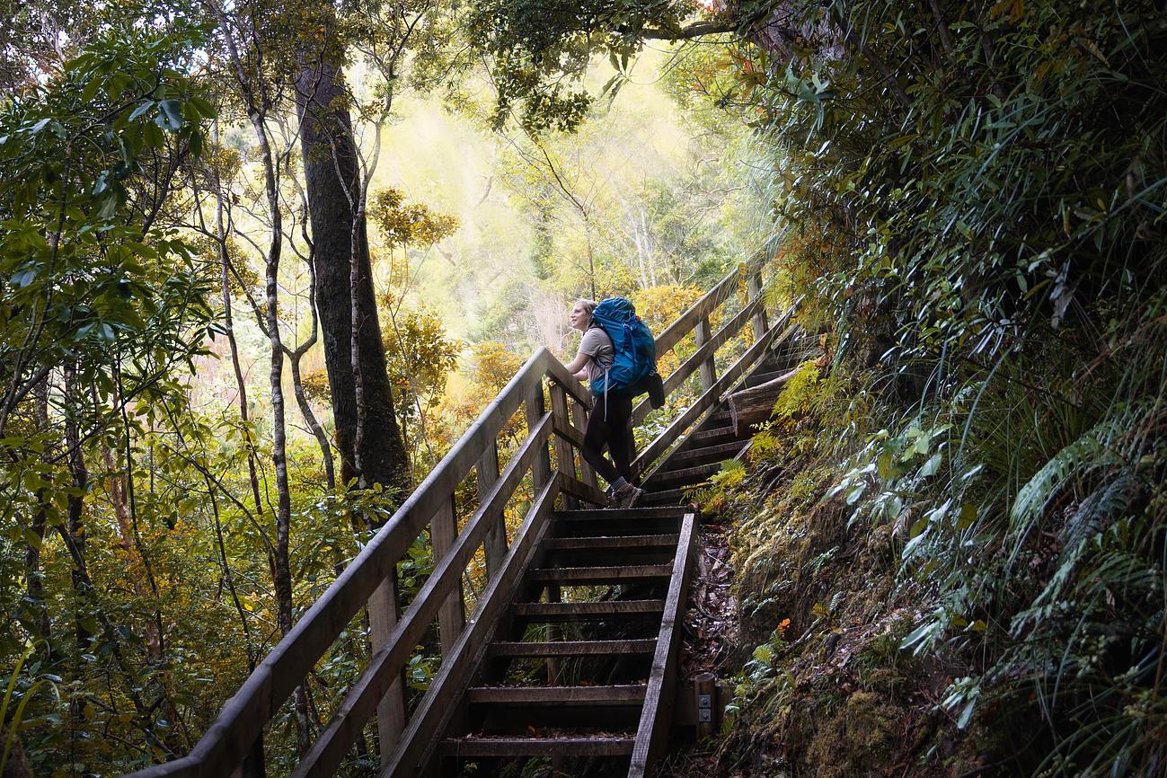 Hike the Windy Canyon Track | Riparide