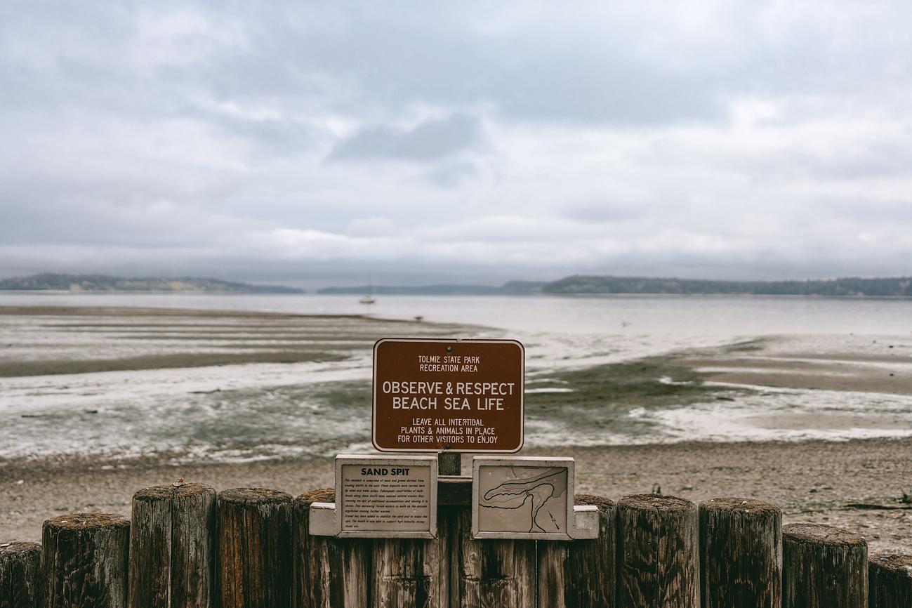Tolmie State Park Beach Hike and Exploration | Riparide