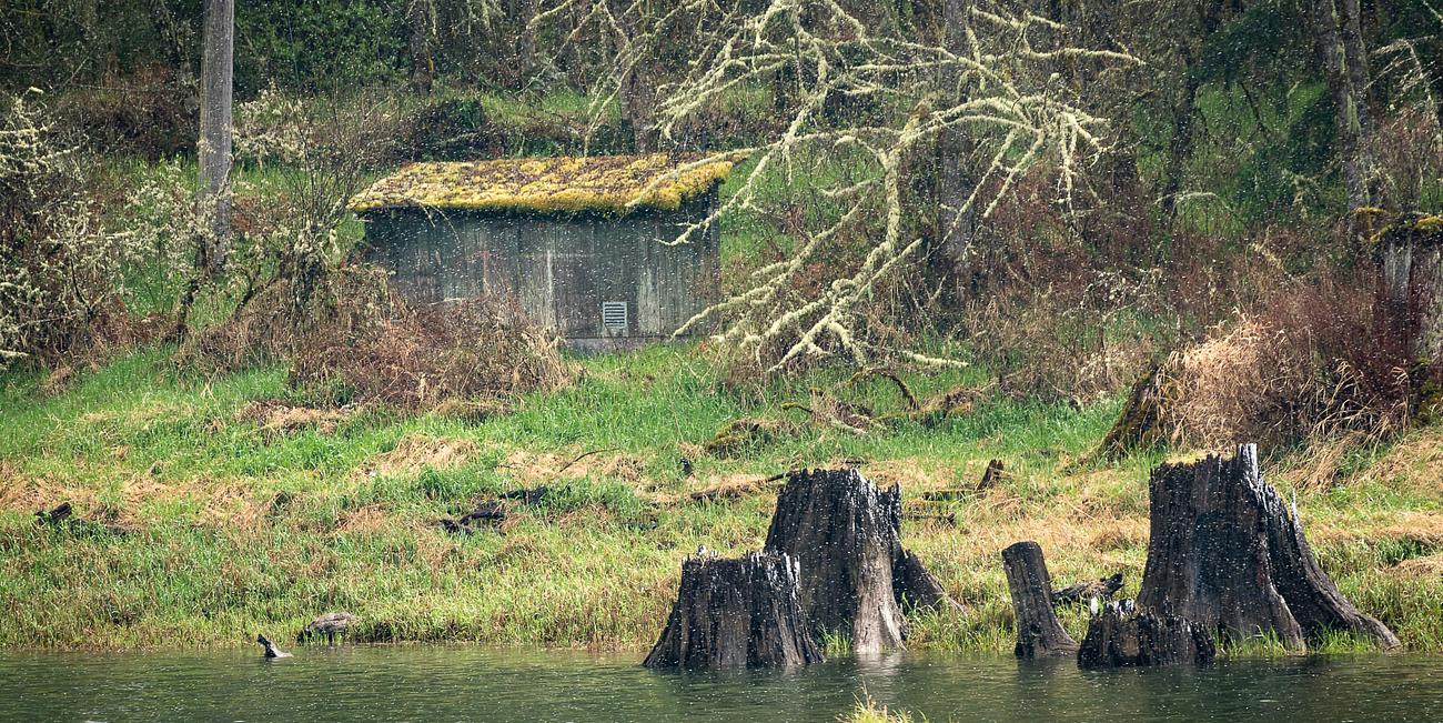 Relaxing Tiny Home Getaway - Adventure by Trevor in Ashford, Greater ...