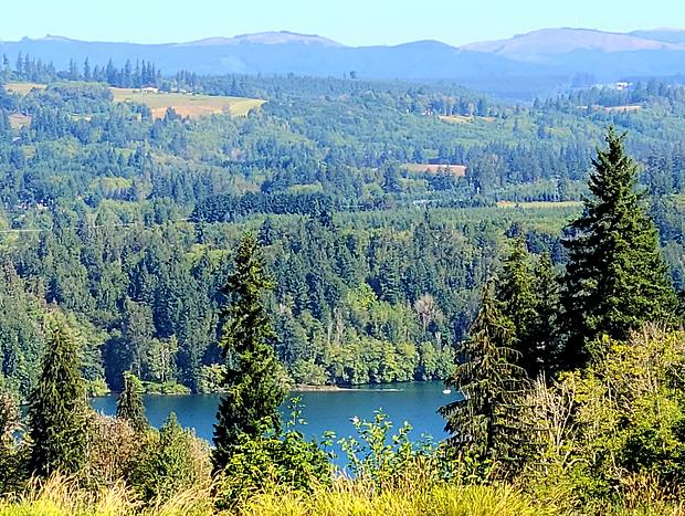 Lake Mayfield Glamping At Its Finest - Glamping for Rent in Mossyrock ...