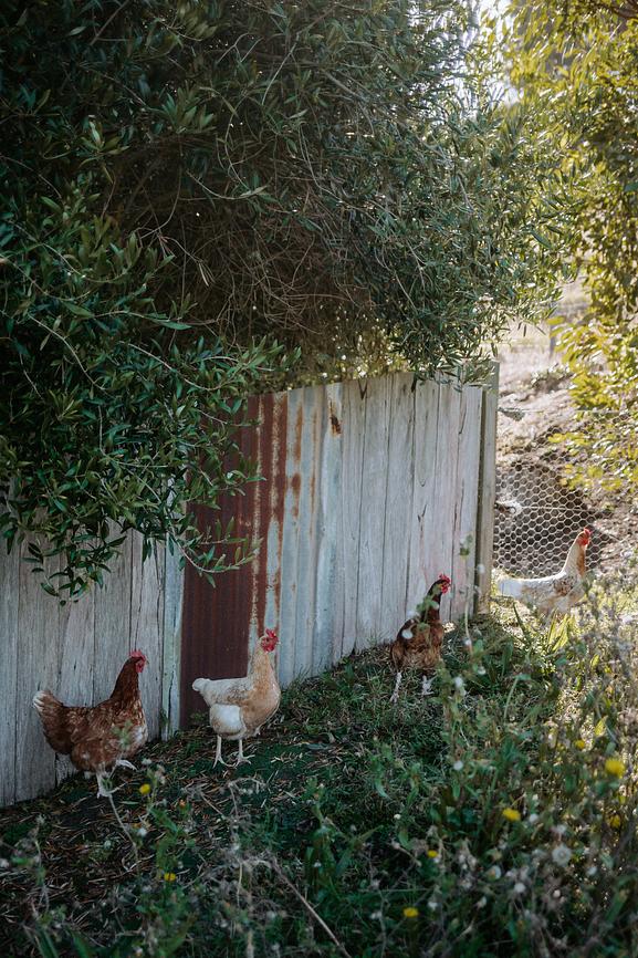 Exploring Daysy Hill | Riparide