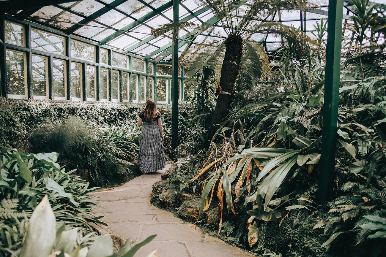 Explore Machettie Park and the Begonia House Fernery | Riparide
