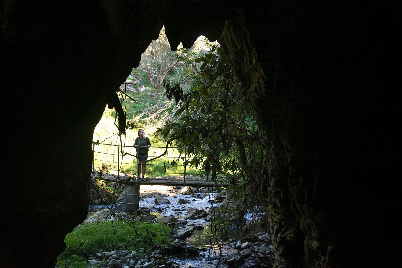 Discover Waitomo Caves | Riparide