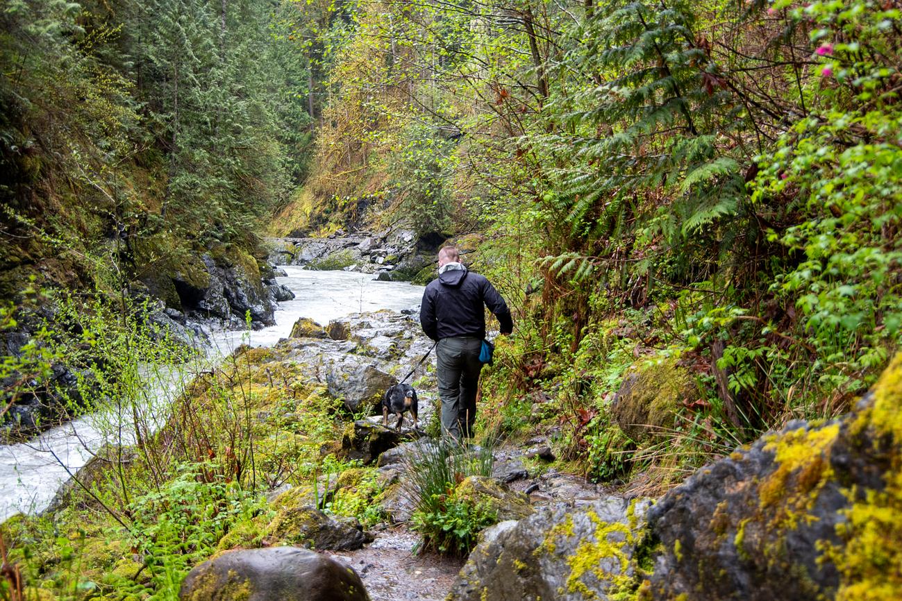 Hike Old Robe Canyon Historic Trail | Riparide