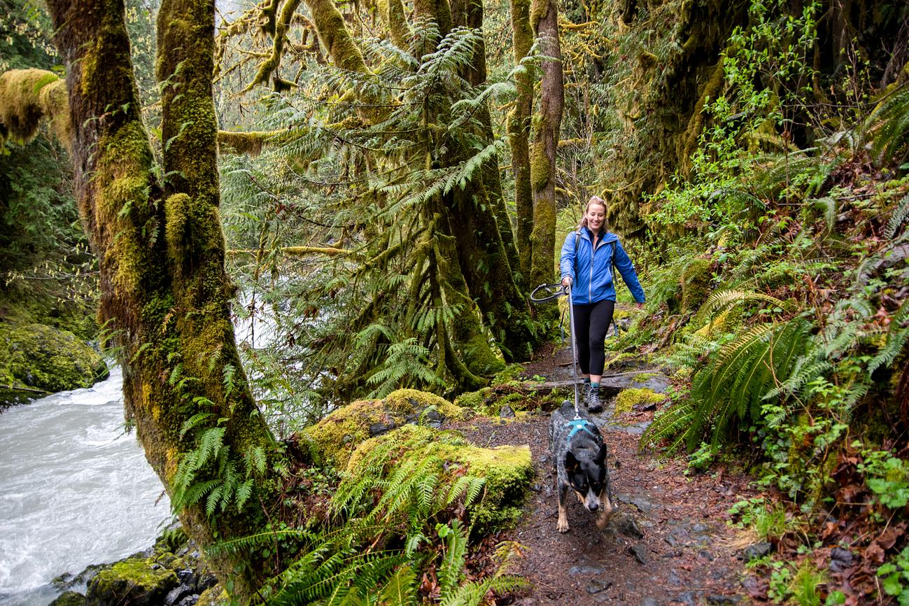 Hike Old Robe Canyon Historic Trail | Riparide