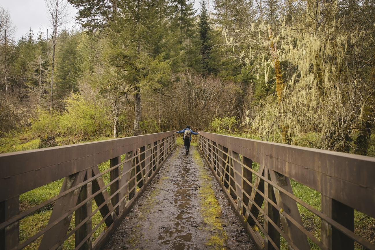 Hiking Nicholson Horse Trail | Riparide