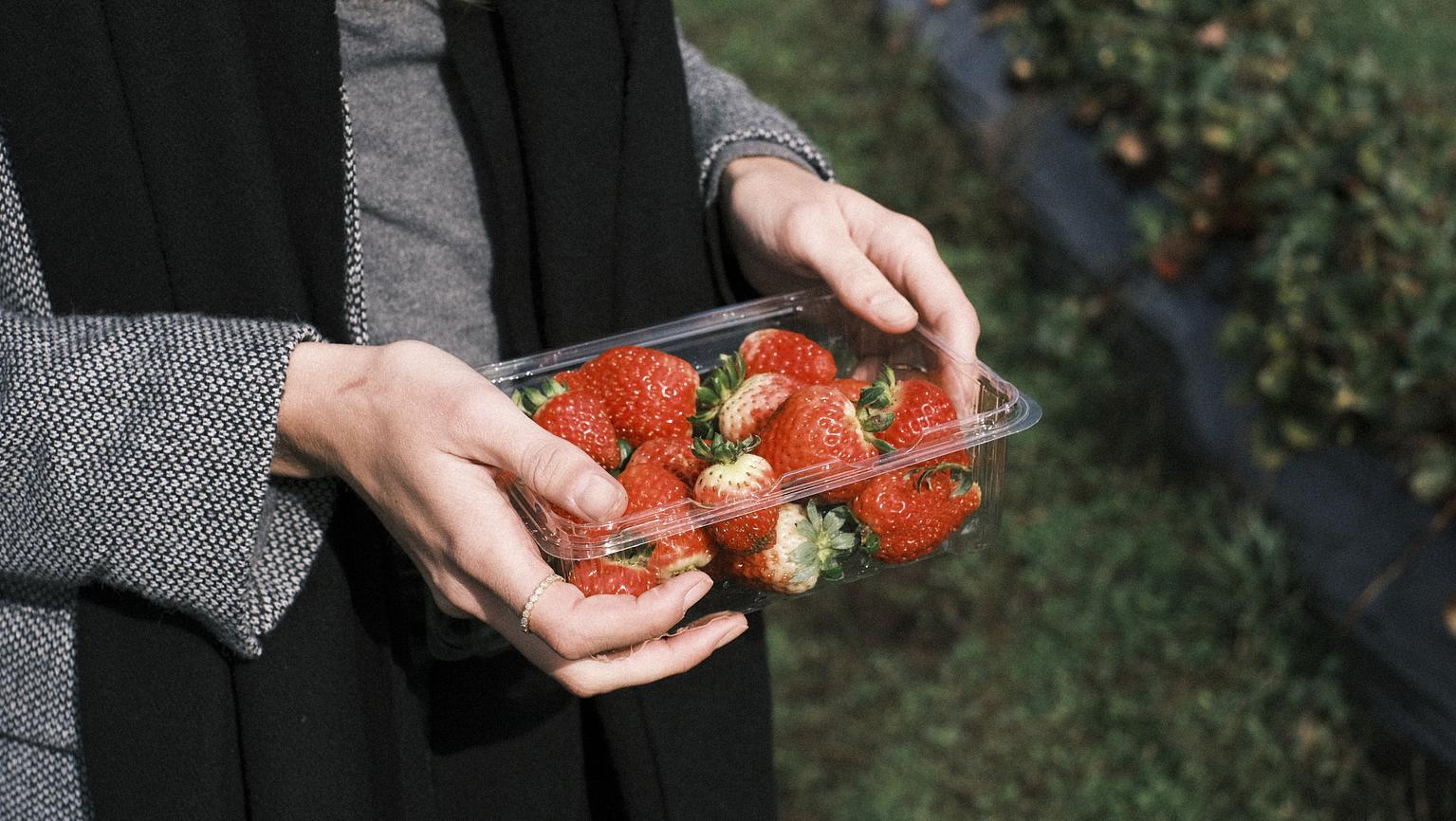 Red Strawberries (and Curry) at Berry World | Riparide