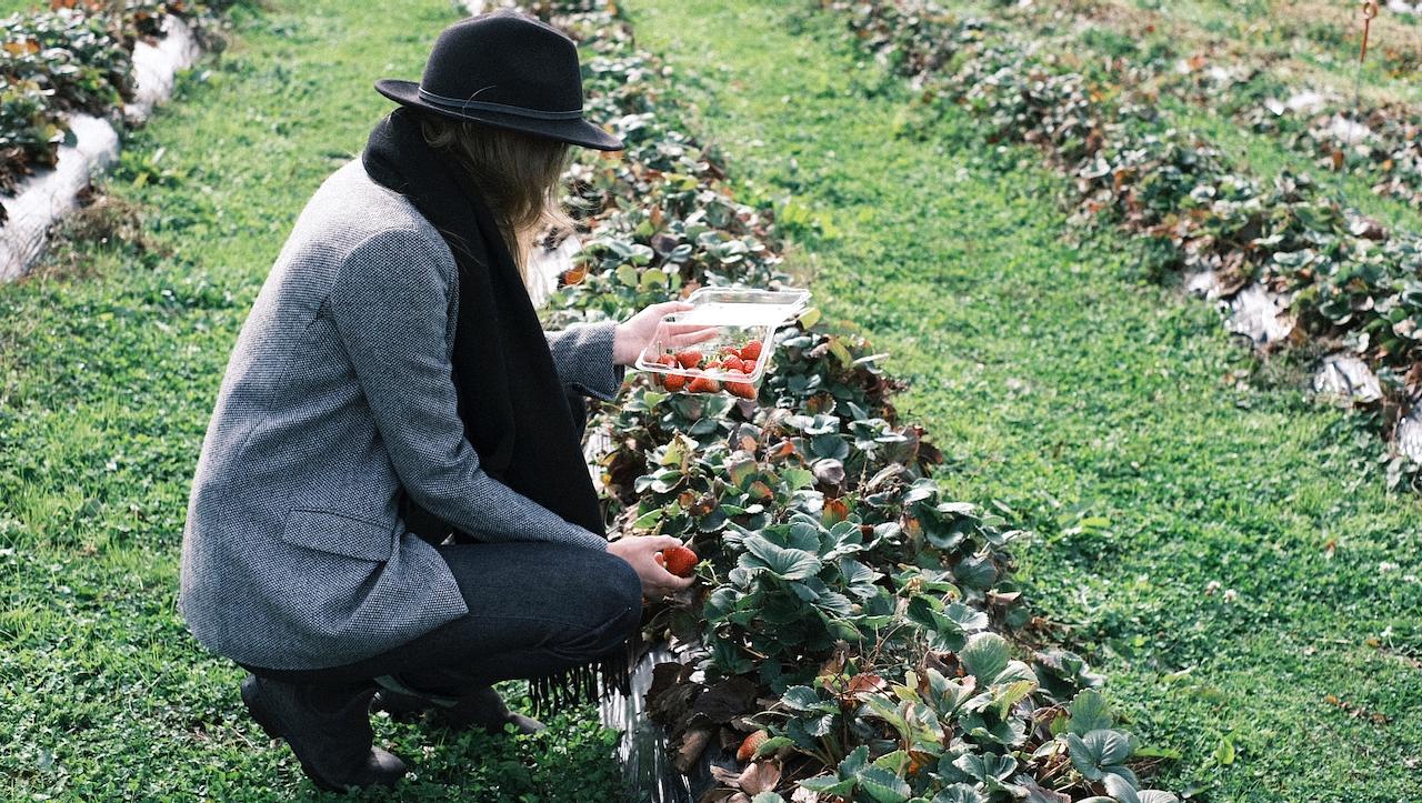 Tranquil Tiny Home Caramel - Adventure by Tom in Timboon, Great Ocean ...