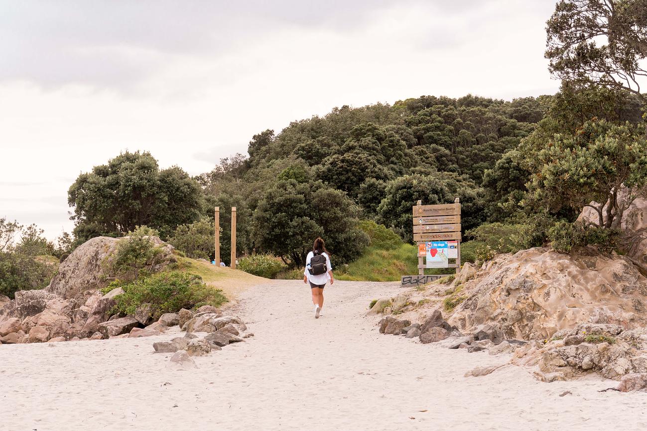 Stroll Around Moturiki (Leisure) Island | Riparide