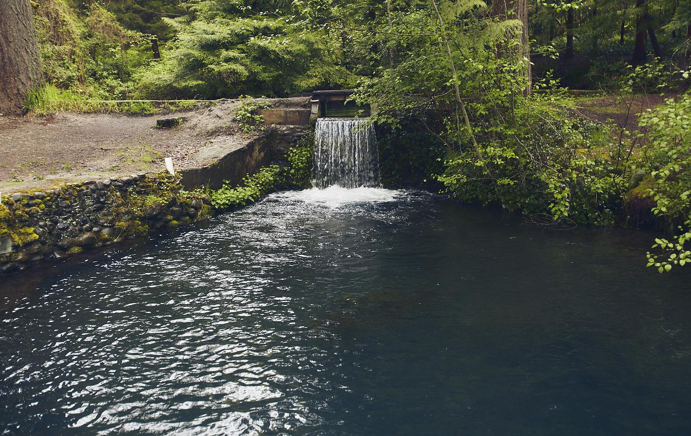 River Hikes and Hot Tub Nights - Adventure by Hannah in Auburn, Greater Seattle, WA, US | Riparide