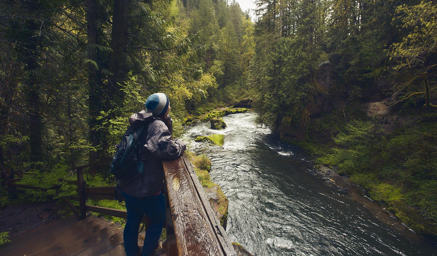 Breathtaking Mt Rainier & Cascade views & hot tub - House for Rent in Auburn, Greater Seattle ...