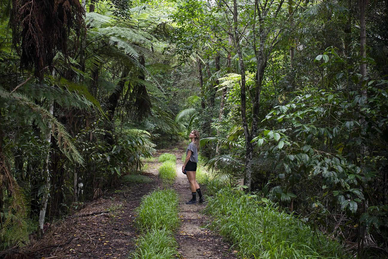 The Optus Trail | Riparide