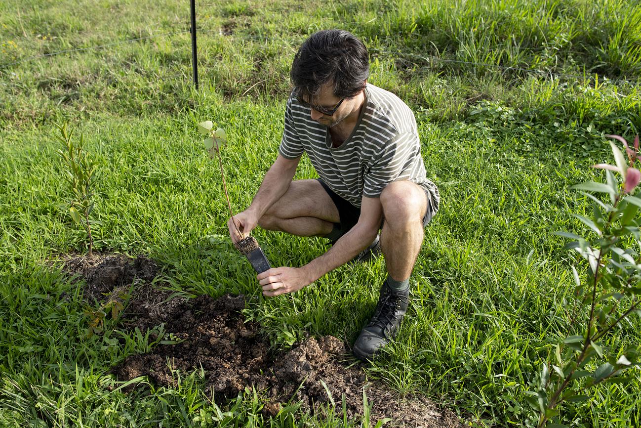 Planting a Tree in the People's Forest | Riparide