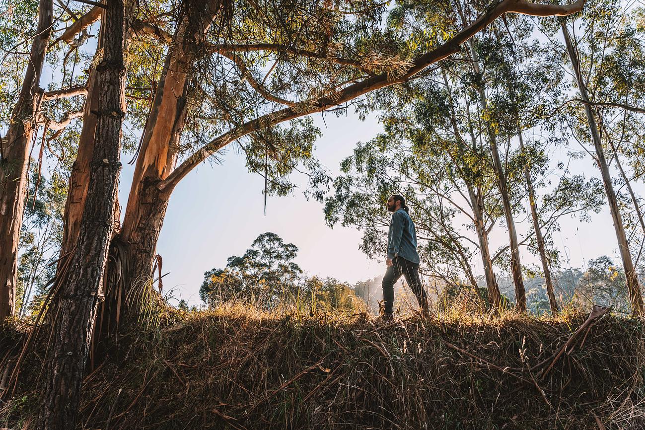 Walk the Grand Ridge Trail Rail | Riparide