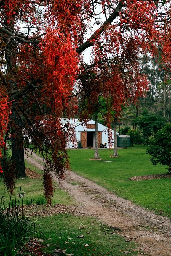 The Stables Farmstay Lake Innes - Cottage for Rent in Lake Innes, North ...