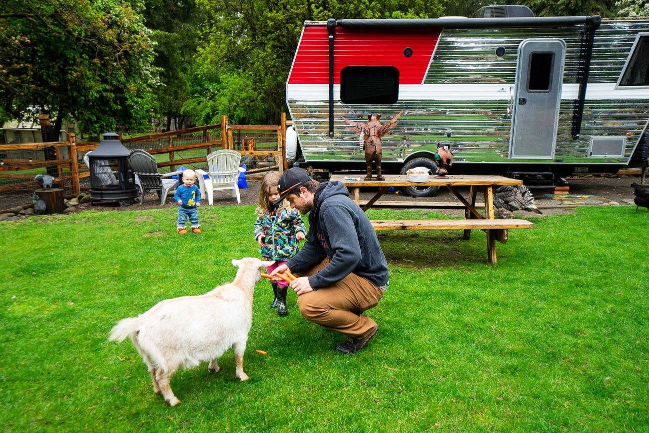 Meeting Furry Friends at Flyin' Pig Ranch | Riparide