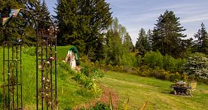Cozy Hobbit House on Charming Bainbridge Island - House for Rent in ...