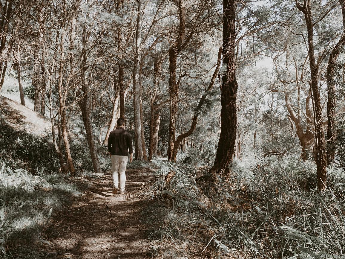 Walking in Ku-ring-gai Chase National Park | Riparide