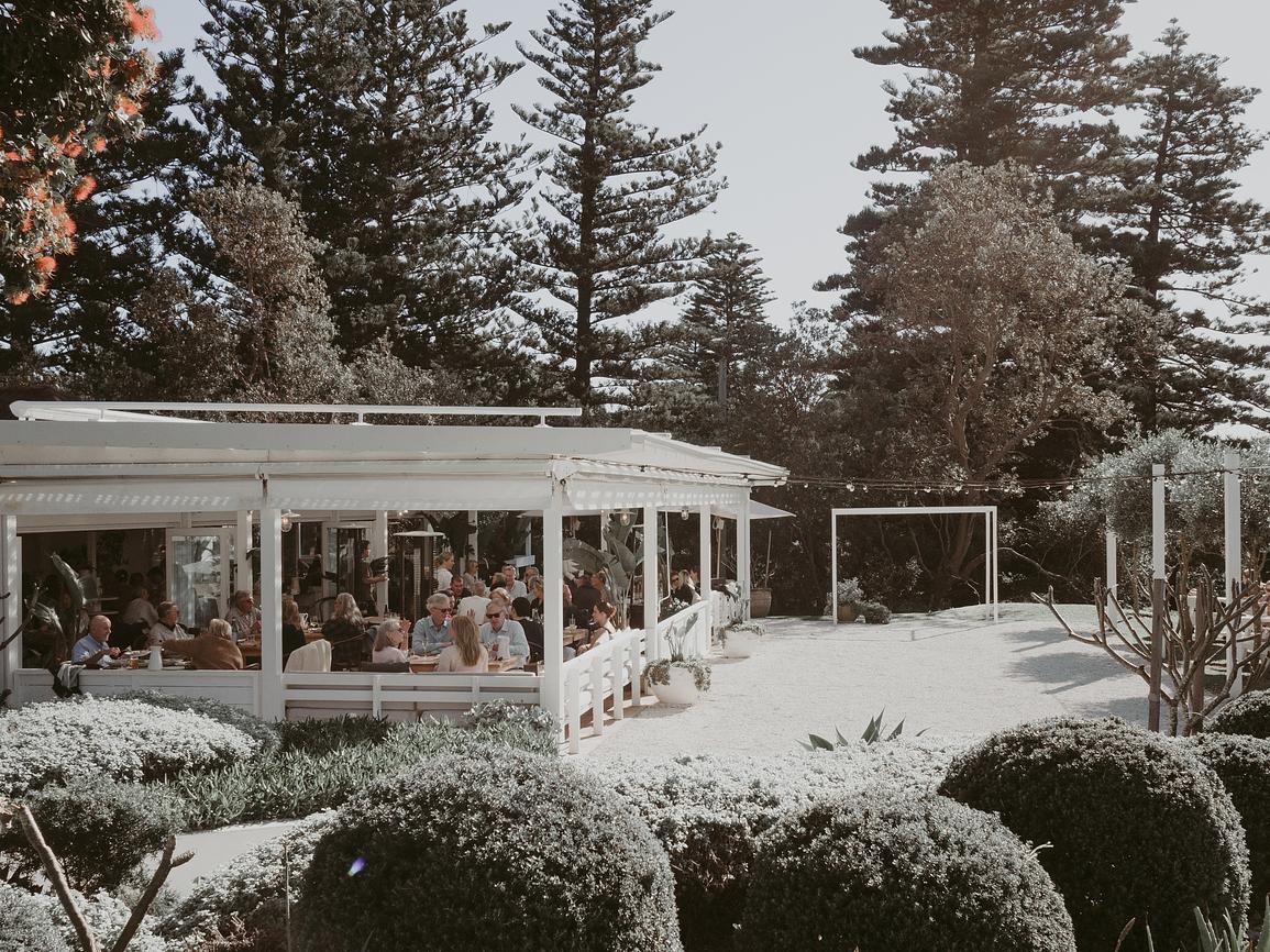 Ferry and Lunch in Palm Beach | Riparide