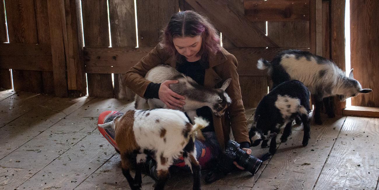 Humble Hobbit Home - Adventure by Julie in Bainbridge Island ...