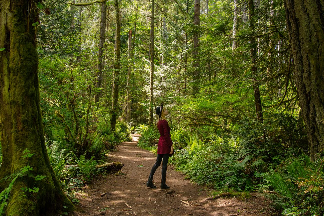 Walk Among the Trees | Riparide