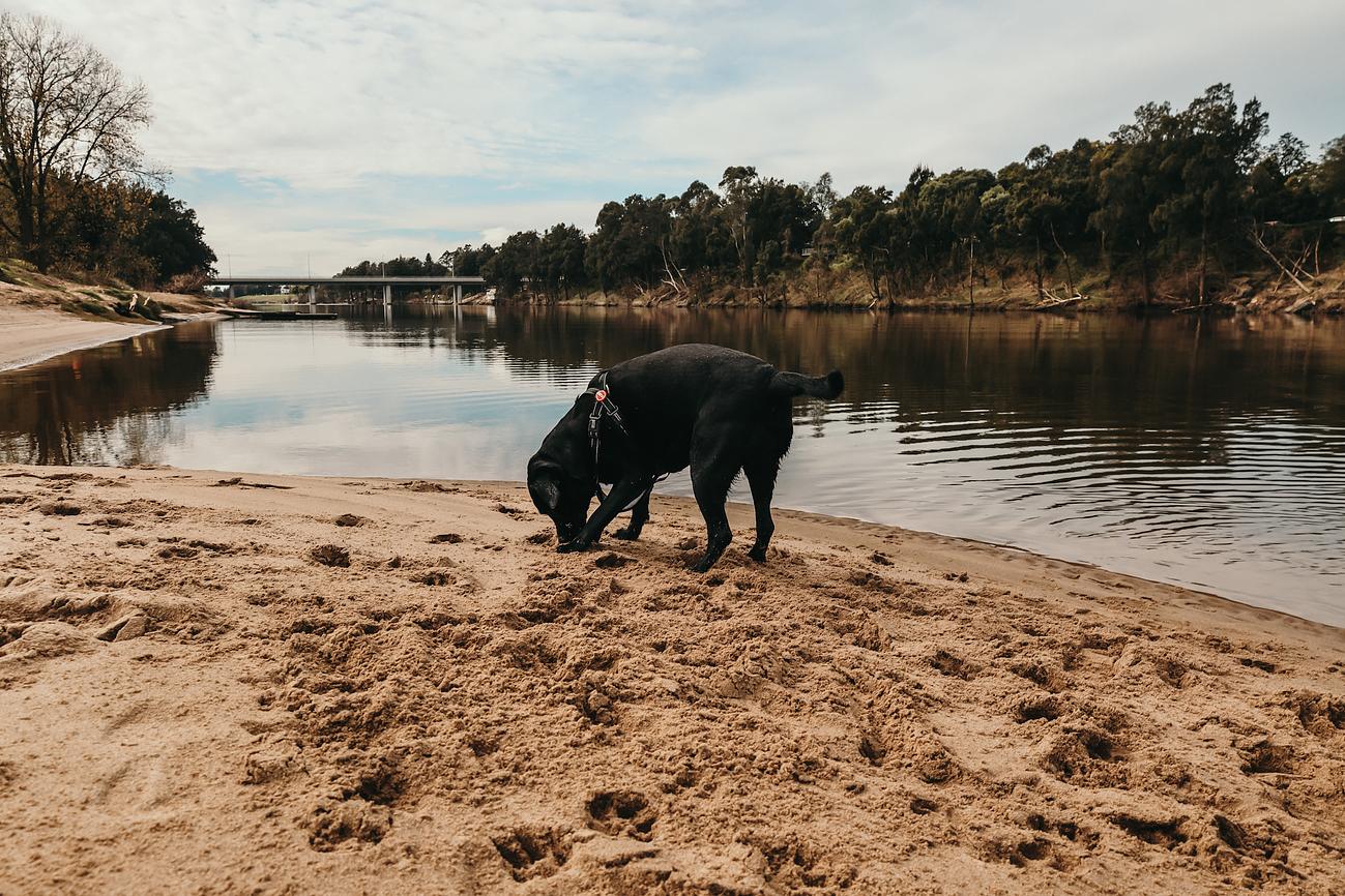 River Swim | Riparide