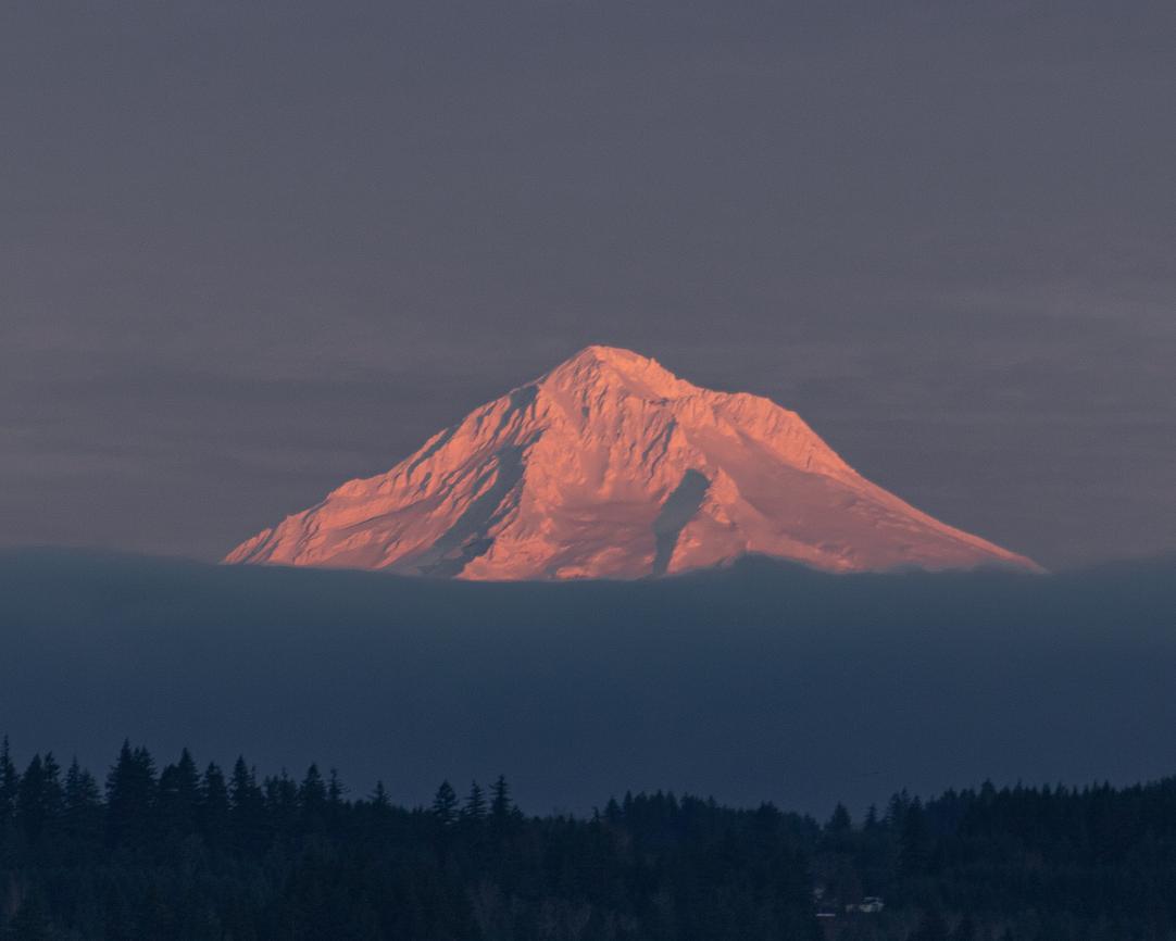 Views of Mt Hood, McIver State Park | Riparide