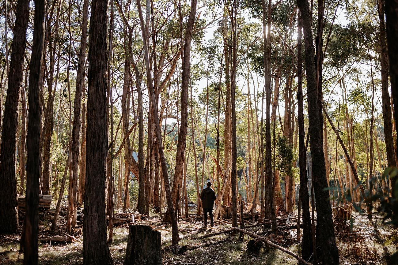 Exploring Nature | Riparide