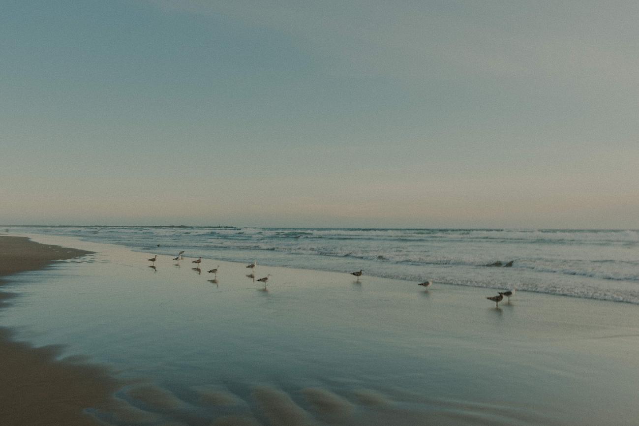 Backyard Beach Walk | Riparide