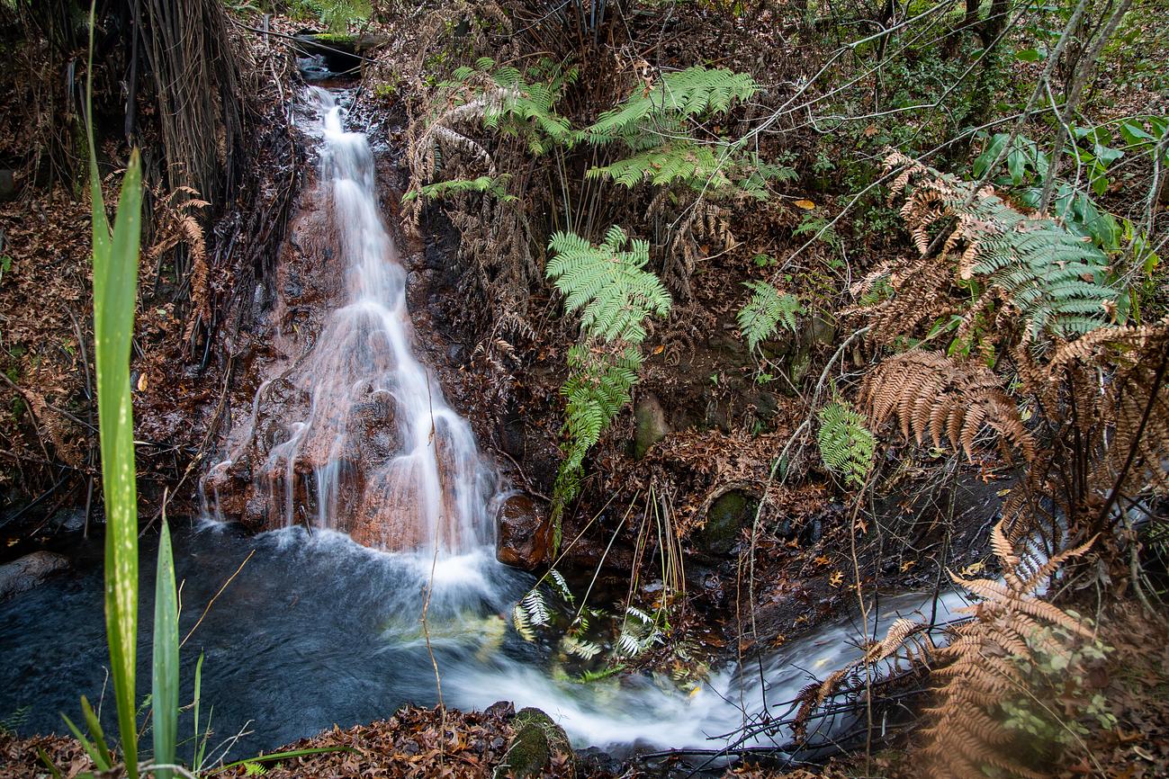Take a Walk to the Waterfalls | Riparide