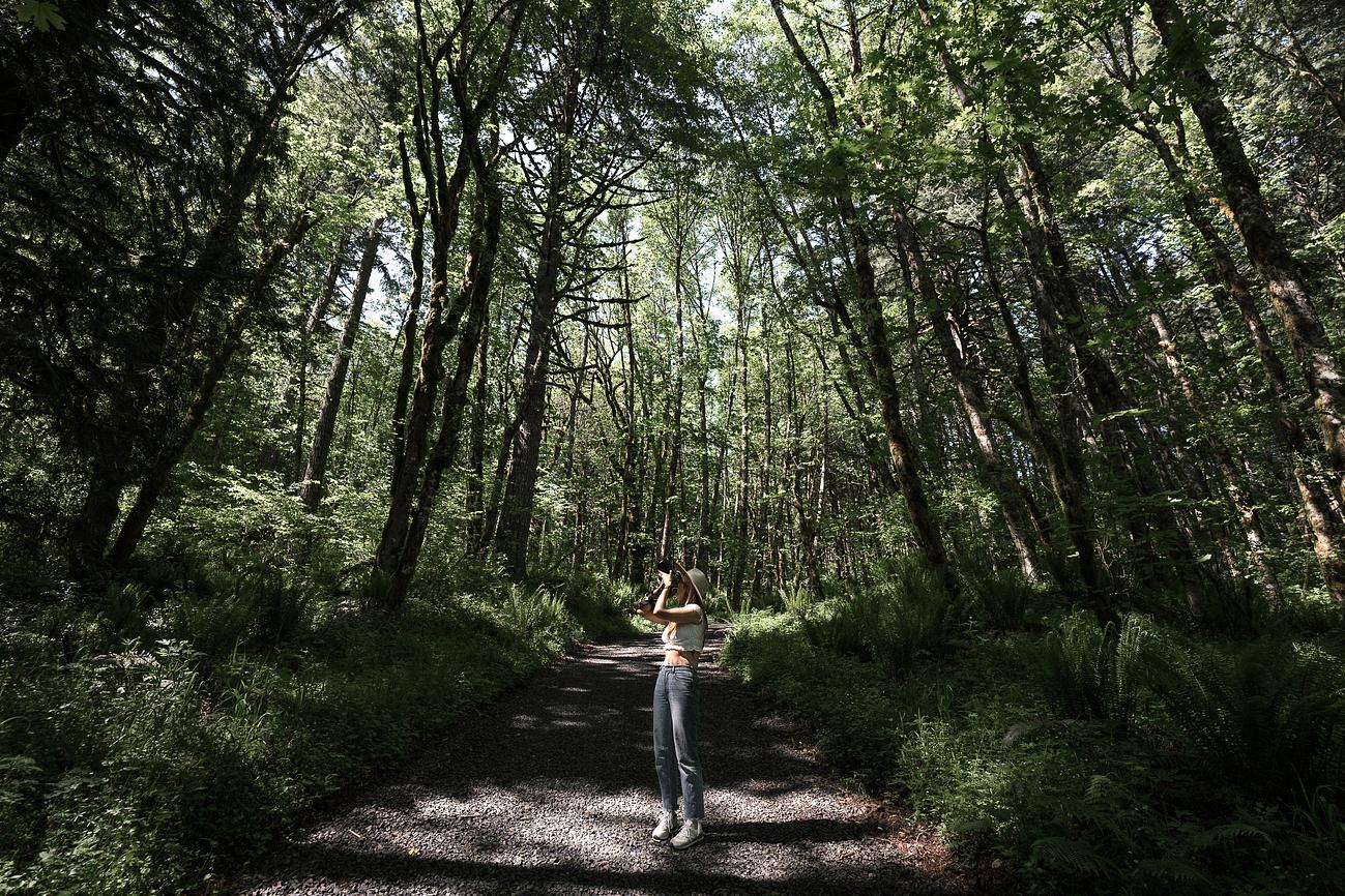 Explore All 16 Glorious Acres of the Gorge Modern Cabin Property | Riparide