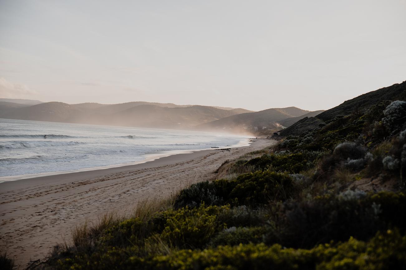 A Beautiful Forest Stay Close to the Beach - Adventure by Neisha in ...