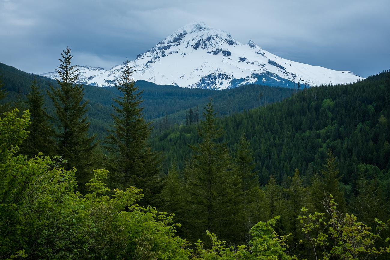 Lolo Pass Road with View of Mt Hood | Riparide
