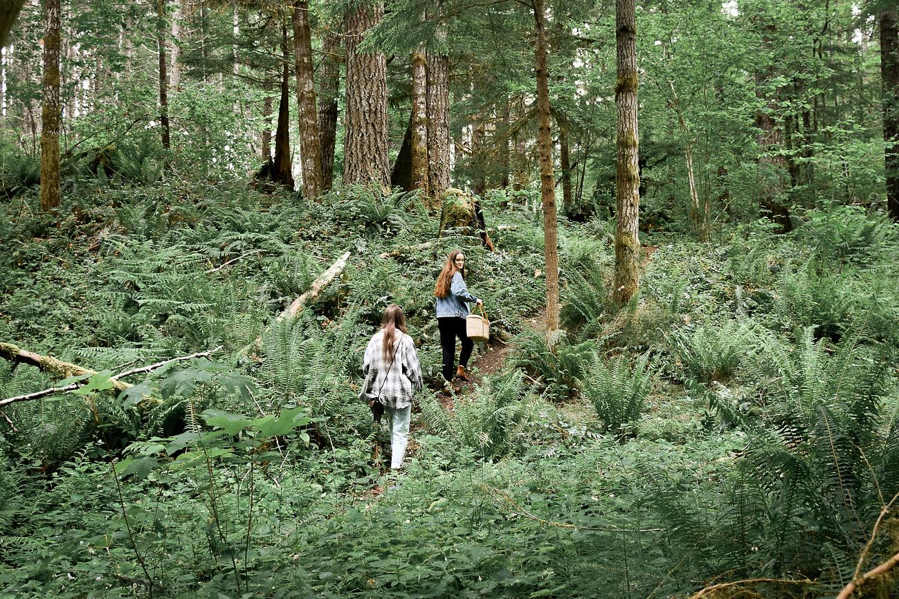 Taidnapam Trail | Riparide