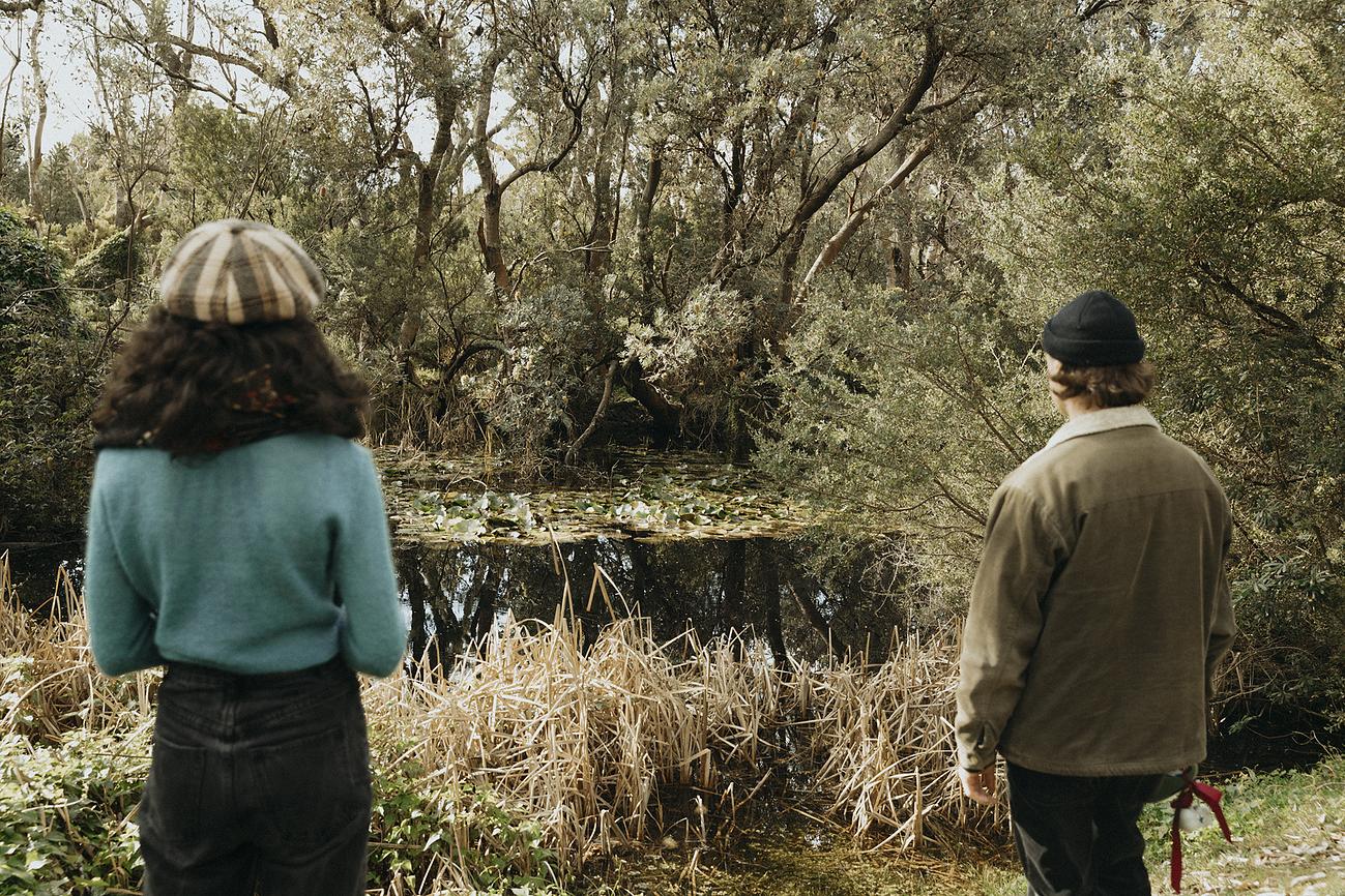 Point Smyth Forest Walk | Riparide