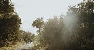 Between the Beach and Bay - Adventure by Nogani in Venus Bay, Gippsland, VIC, AU | Riparide