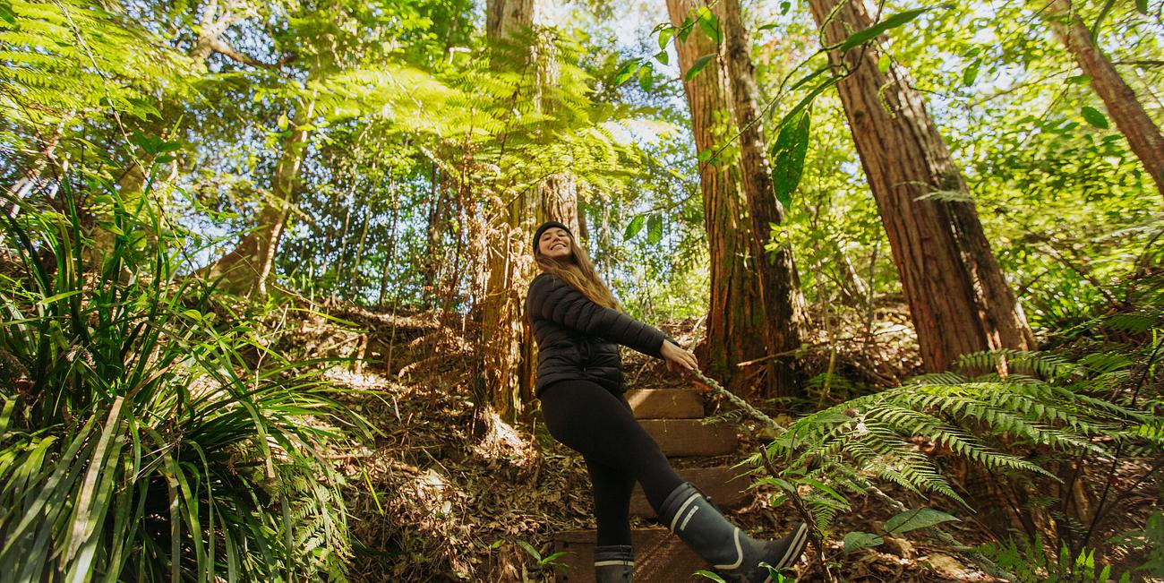 Birdsong at Girralong - Secluded Forest Cabin - Cabin for Rent in Girralong, North Coast, NSW ...