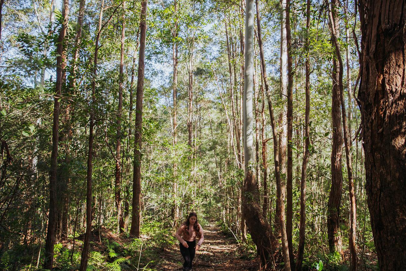 Birdsong at Girralong - Secluded Forest Cabin - Cabin for Rent in Girralong, North Coast, NSW ...
