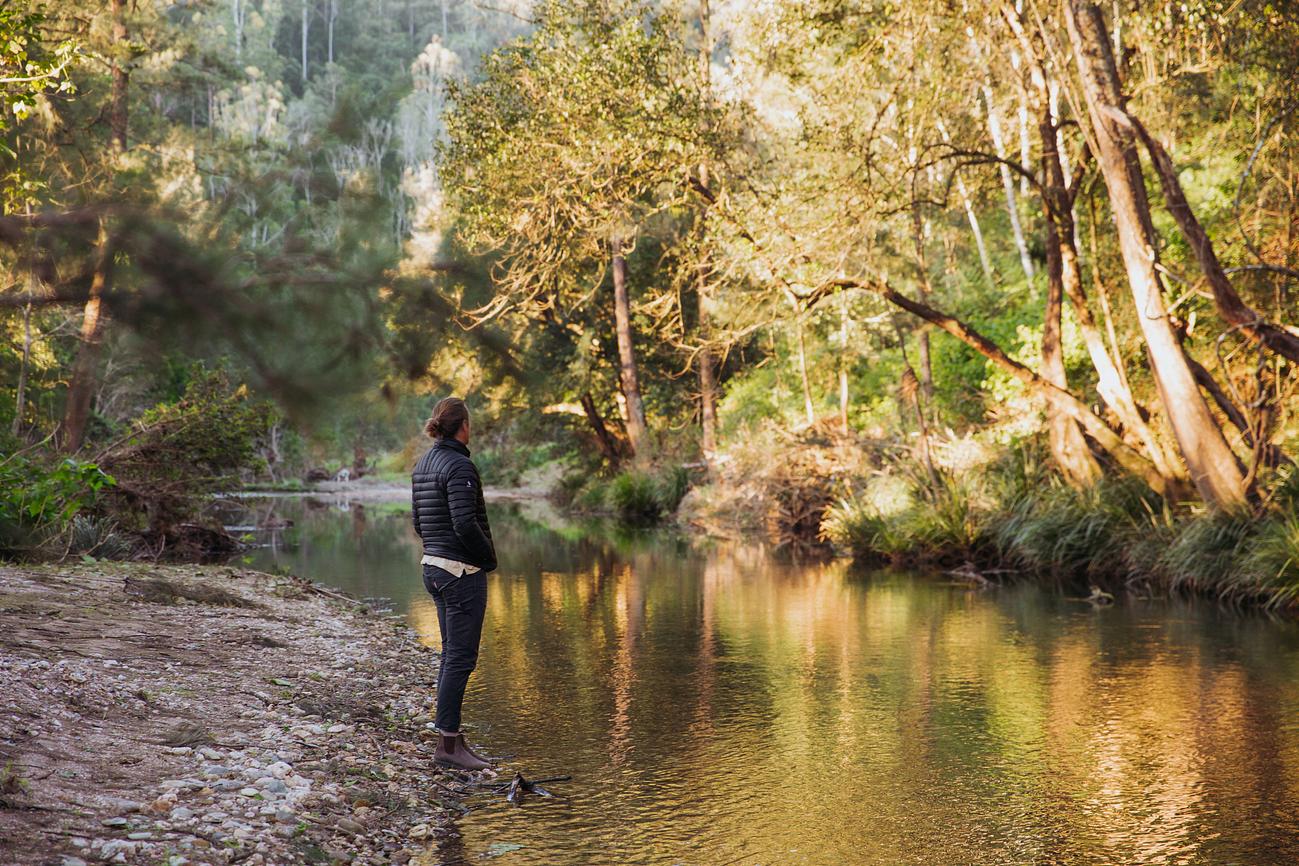 An Evening at the Creek | Riparide