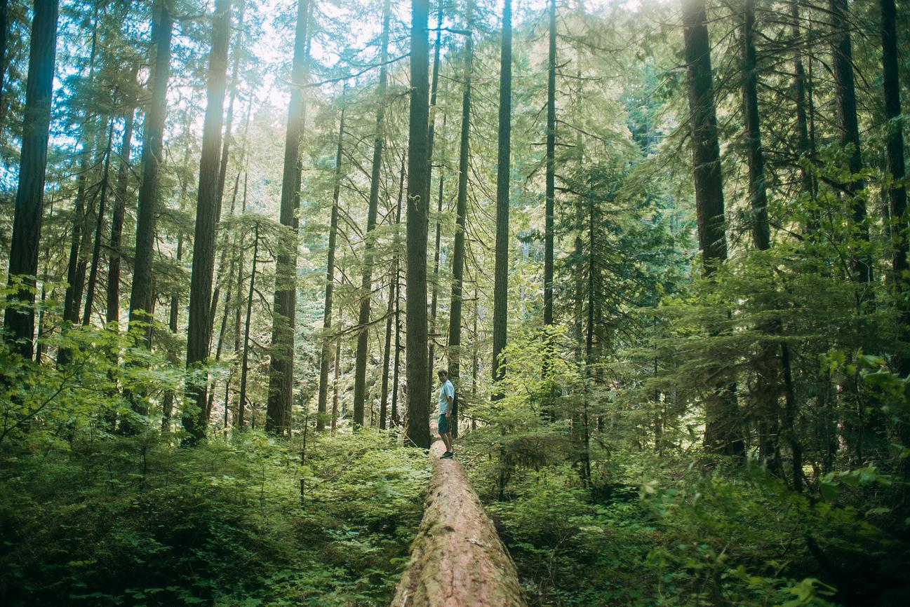 Tatoosh Trail | Riparide