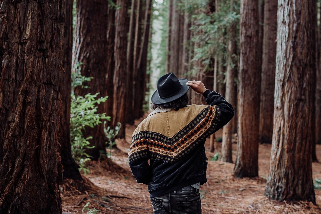 Explore the Redwood Forest | Riparide