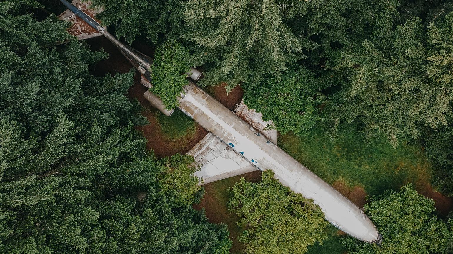 Airplane Home in the Forest | Riparide