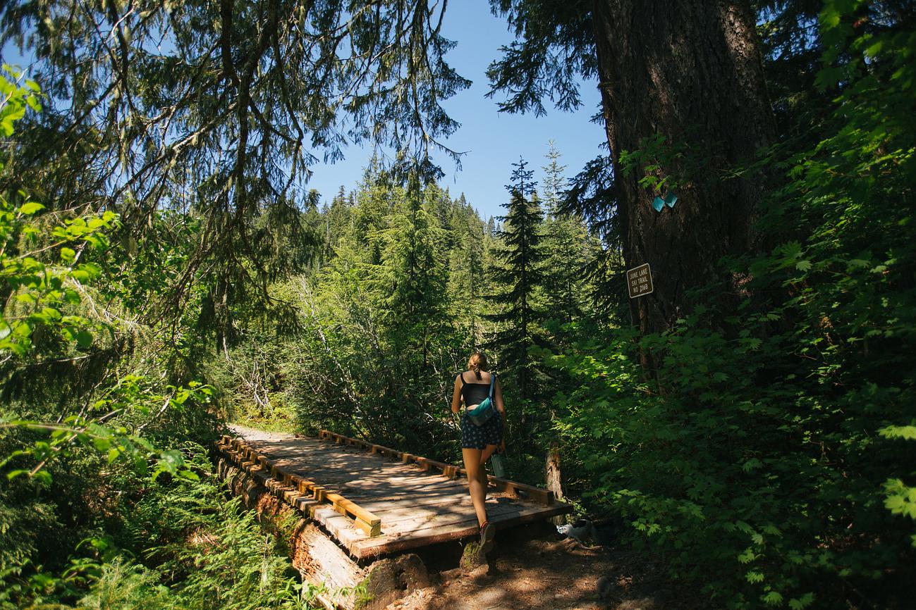 NEW Waterfront A-Frame Glamping Cabin - Tiny house for Rent in Longview, Southwest Washington ...