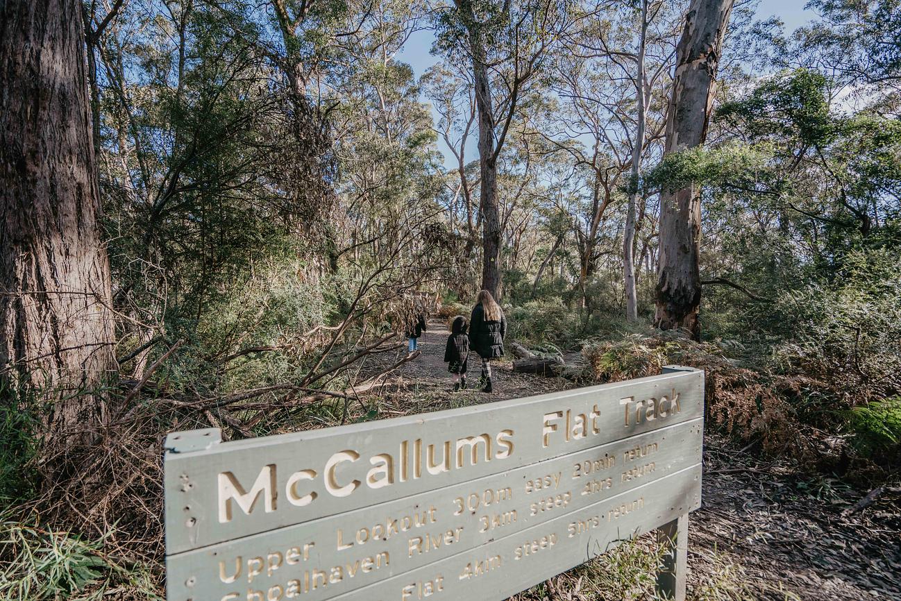 Bushwalking | Riparide