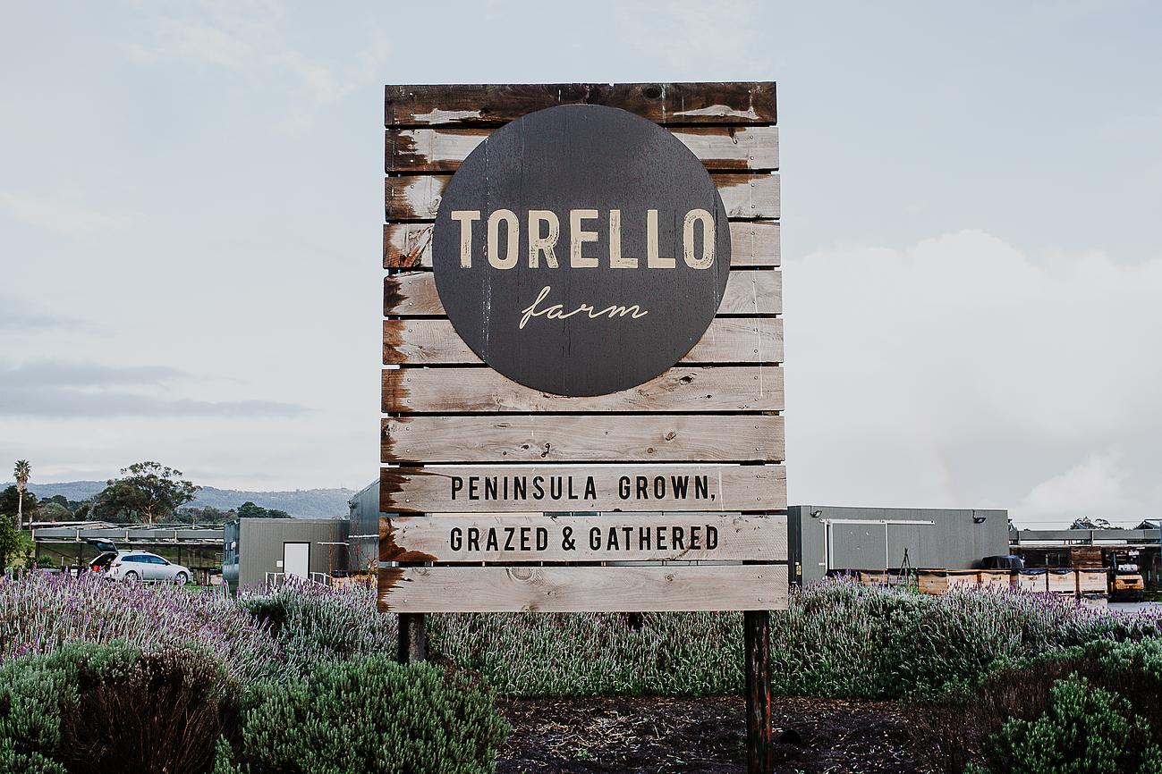Picking Up Fresh Produce at Torello Farm | Riparide