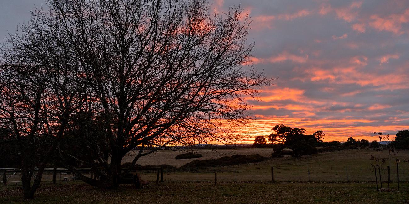 Honeysuckle Farm | Luxury Farm Stay 1 hour from Melbourne - Farm for ...