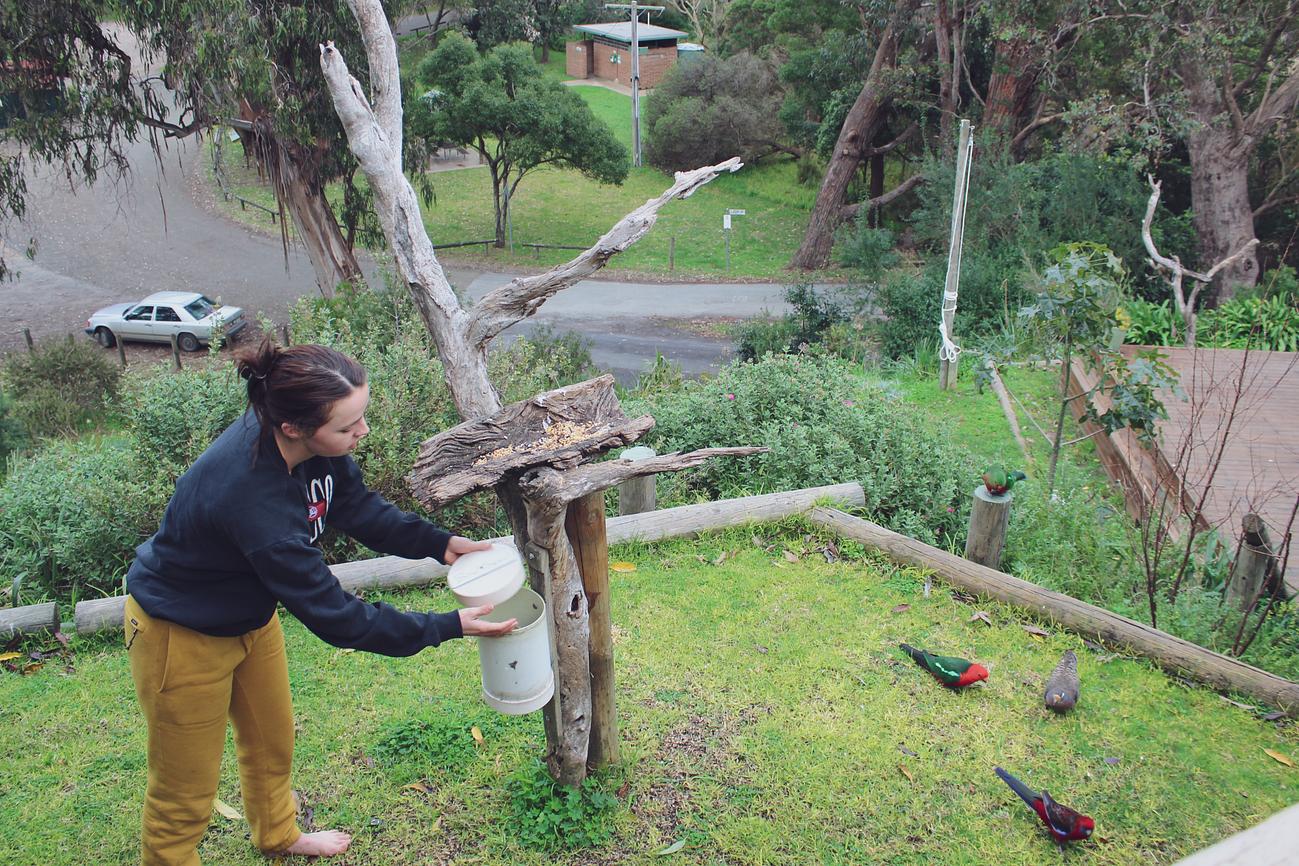 Bird Watching | Riparide
