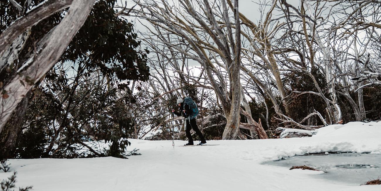 Alpine Camp - Mount Stirling - Camping for Rent in Mount Buller/Stirling Alpine Resort, High ...